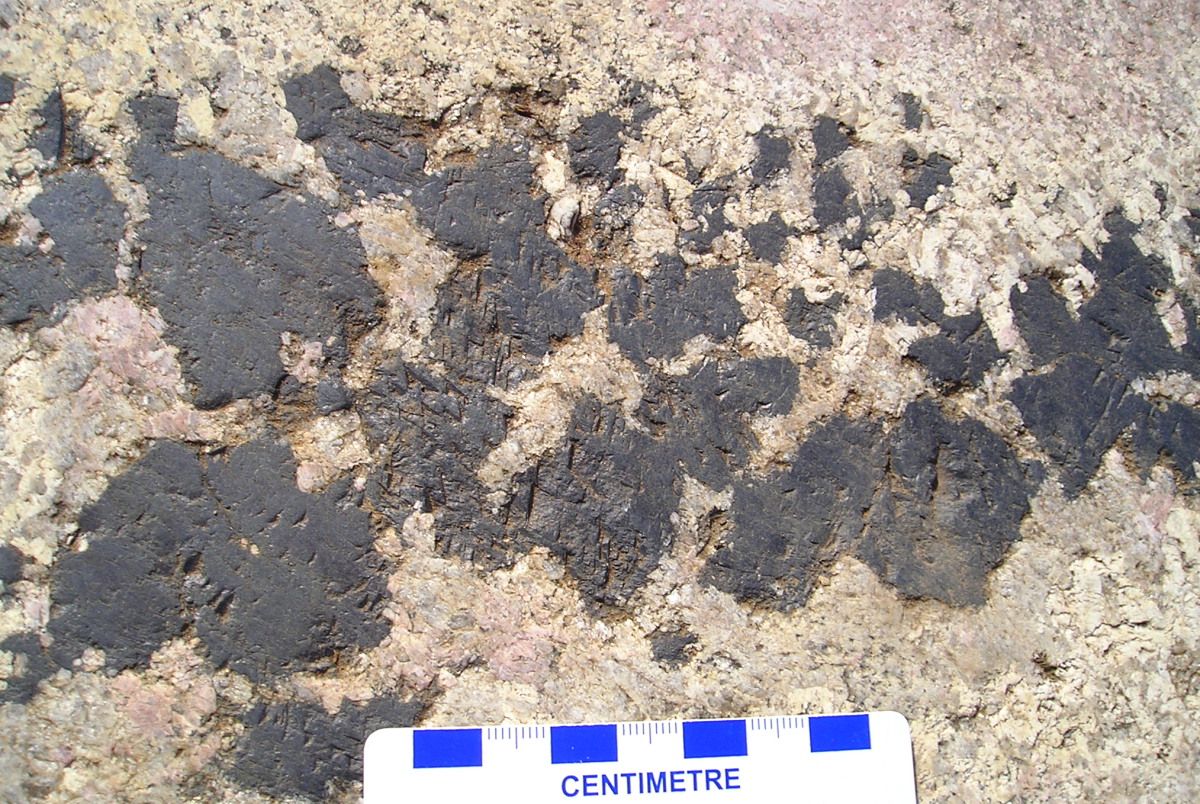 magnetite in leucogranite [478 kb]